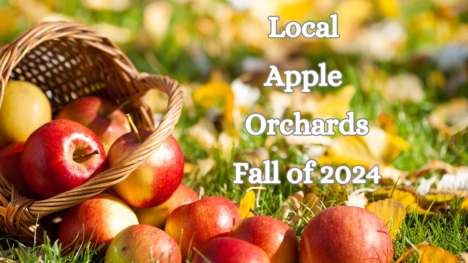 Apple Orchards 2024 - New Directions Real Estate