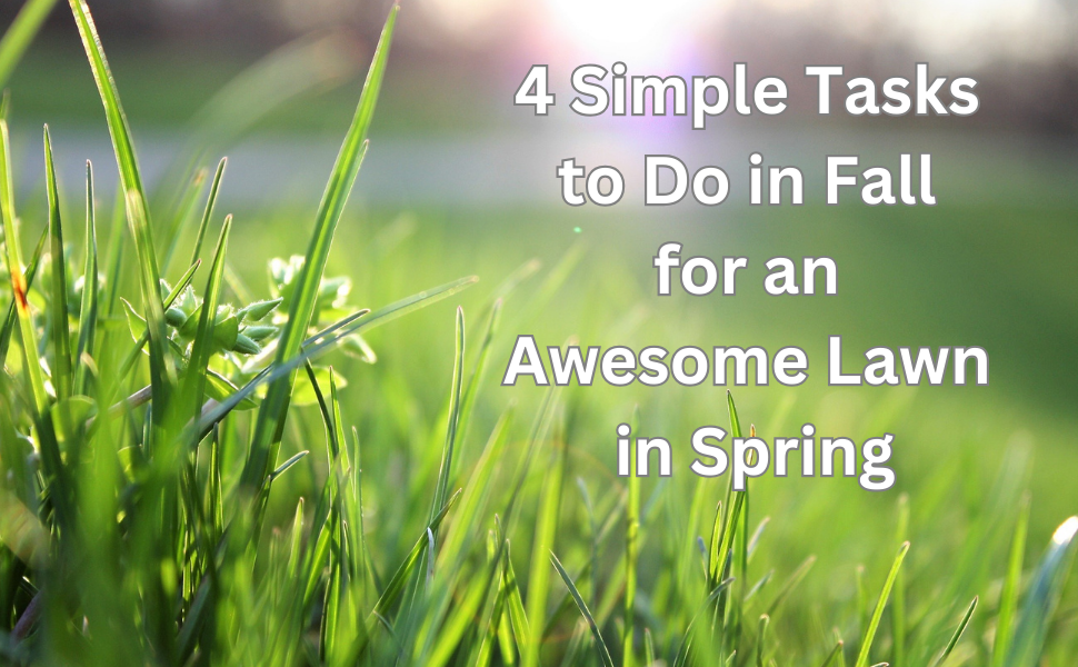 4 Simple Tasks to Do in Fall for an Awesome Lawn in Spring - New ...