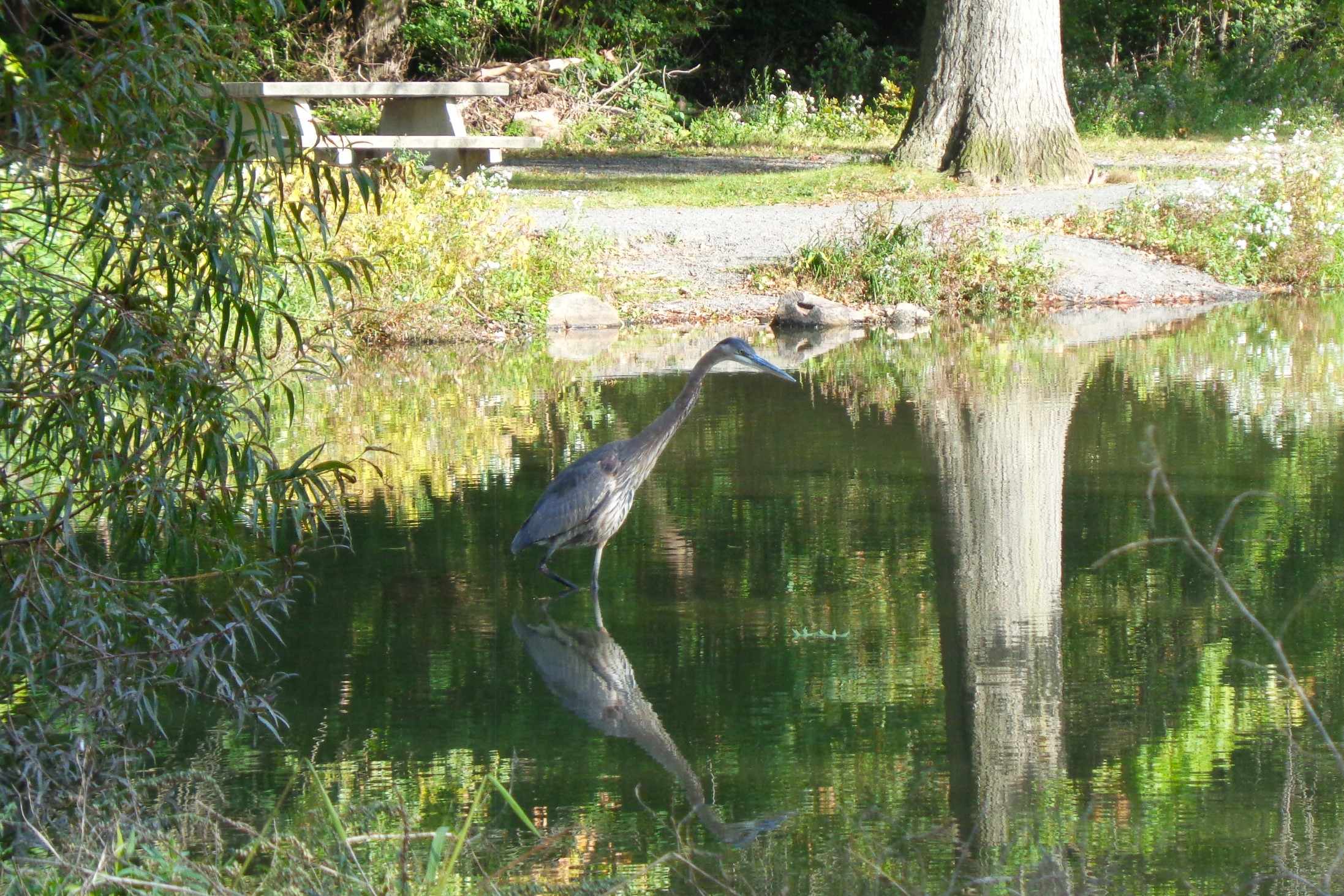 Kelly Real Estate, Inc.