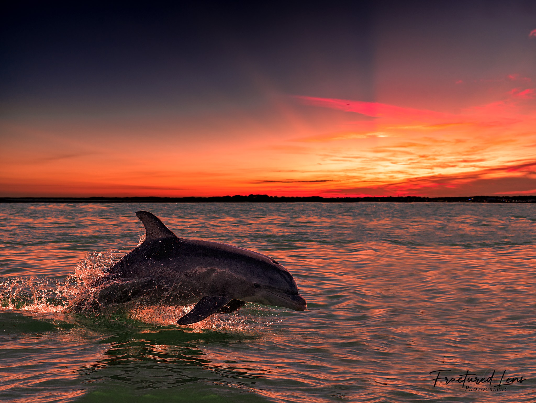 Featured Photographer: Jennifer Slack - Sandra Sells the Shore