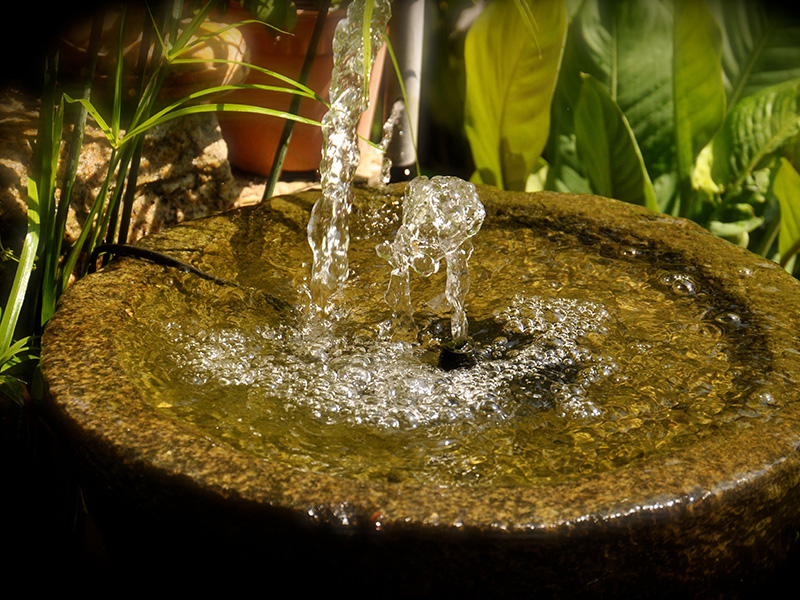 What is Biophilic design?