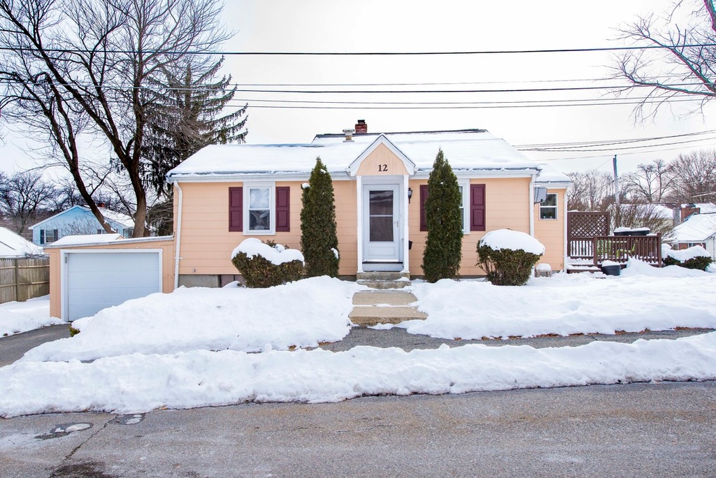 Red Tree Real Estate