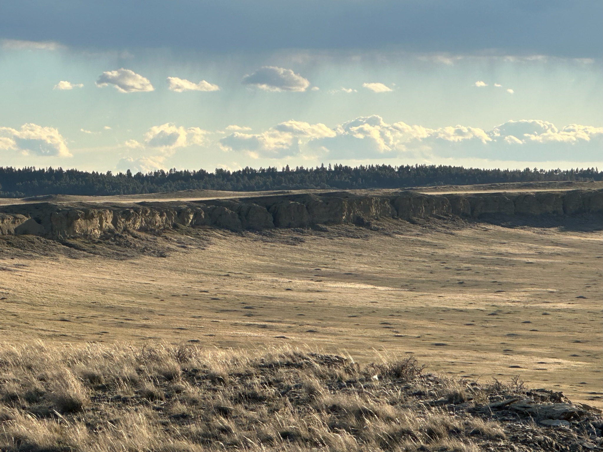 00 N Gage Roundup - Pat Schindele Real Estate Team