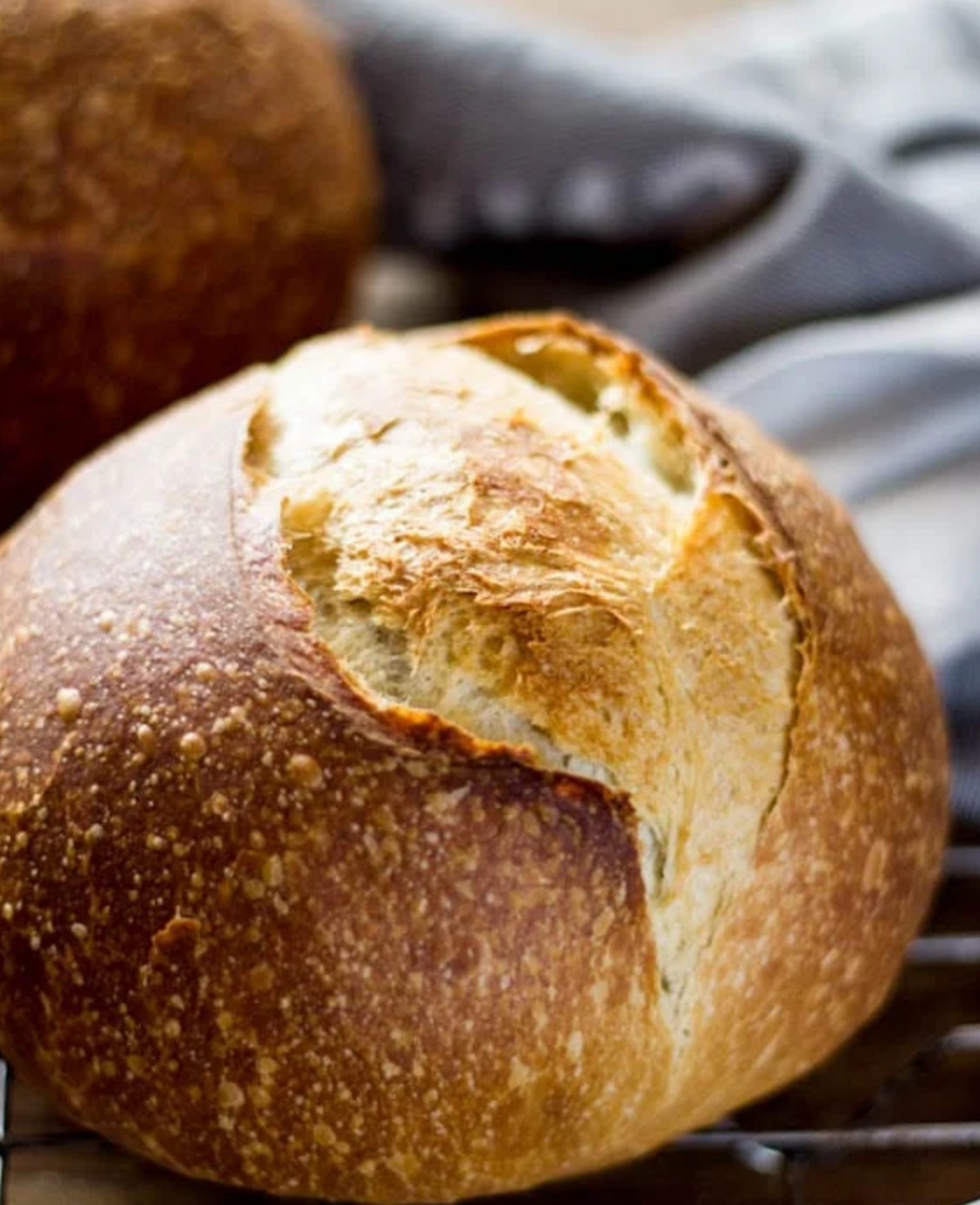 New Hobby this Year? Why Not Sourdough? - Keli Russell Realtor