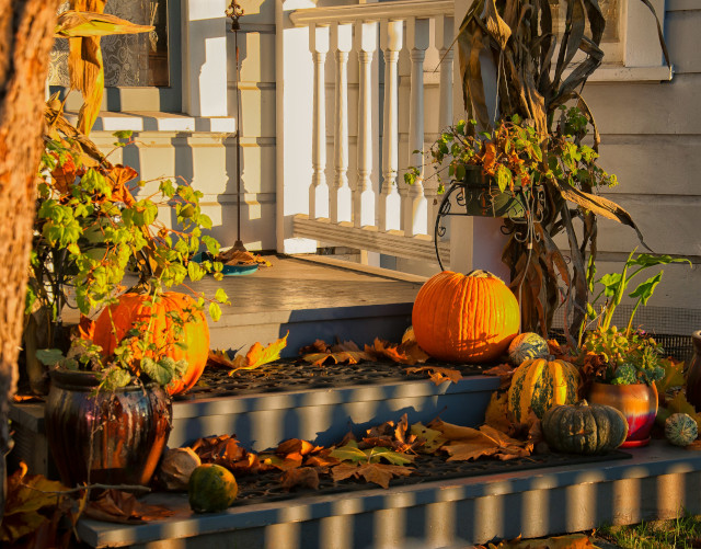 Easy Decorating for Fall | DMV Home