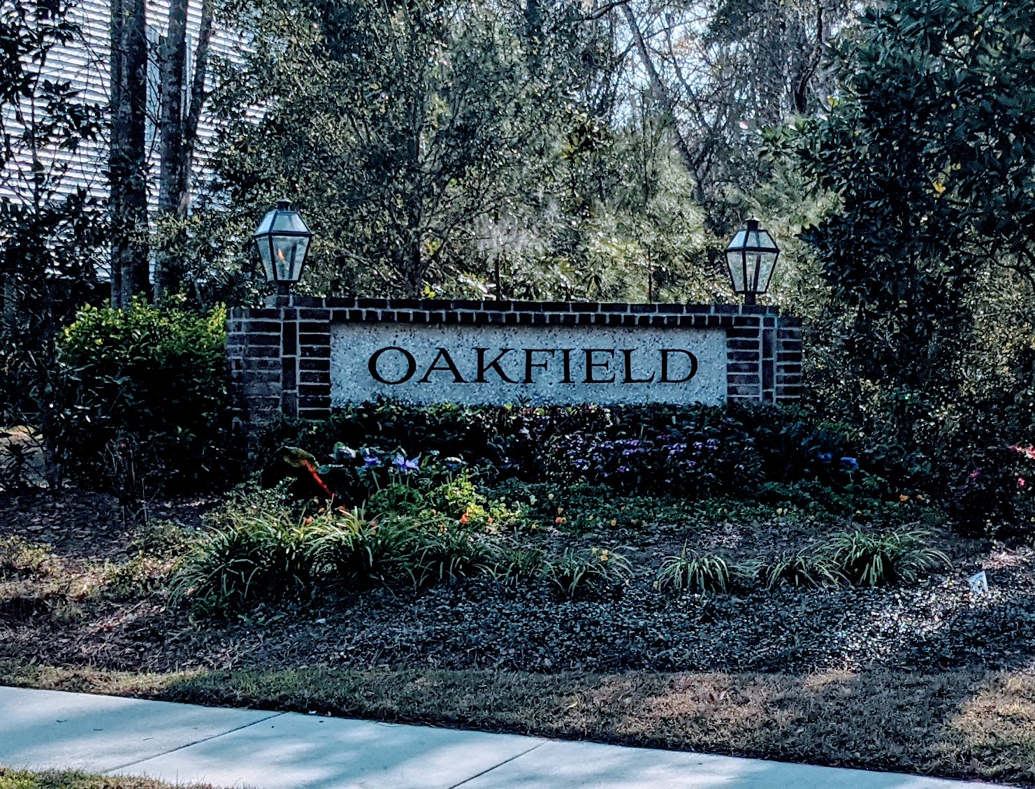 Oakfield Johns Island, SC Information HOA and Homes For Sale